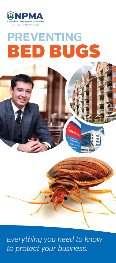 Commercial Bed Bug Customizable Brochure